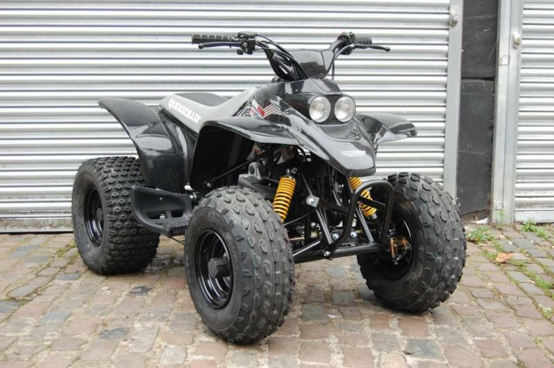 Quadzilla R100 Junior Kids Quad ATV 100cc | in Woodford, London | Gumtree
