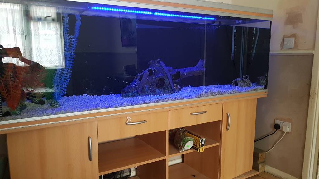 6ft fish tank | in Eckington, South Yorkshire | Gumtree