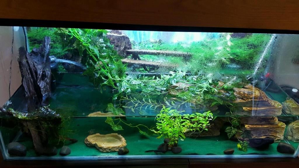 Chinese Fish Aquarium