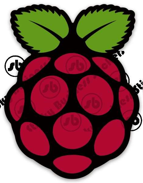 Sticker Logo 3 Inch | Glossy Raspberry Pi