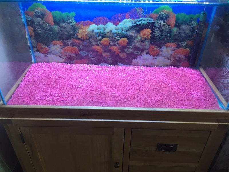 Pink fish tank gravel and a bag of decorative stones | in Hull, East ...