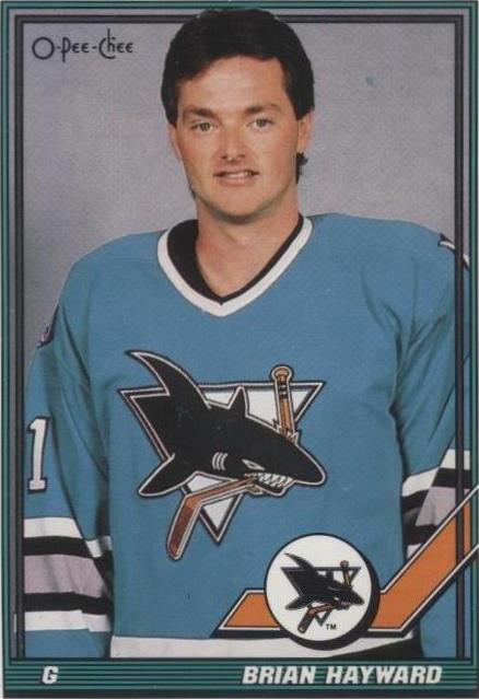 1991-92 O-Pee-Chee - #178 Brian Hayward for sale online | eBay