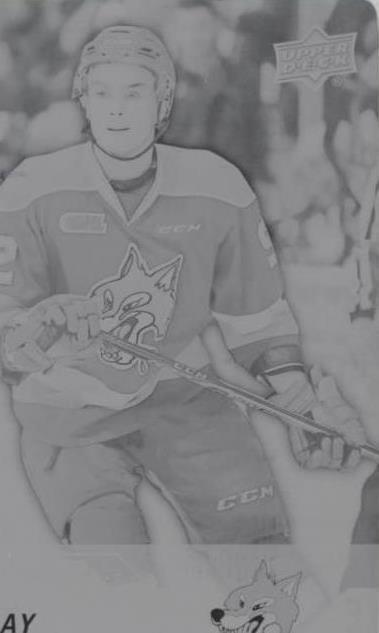 2018-19 Upper Deck CHL - Blake Murray #79 Printing Plate Black /1 (RC ...