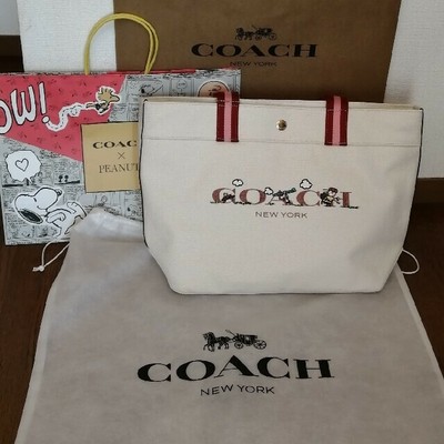 Lady Gaga's Dog Miss Asia Kinney for Coach Pups Campaign - nitrolicious.com