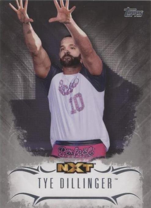 2016 Topps WWE Undisputed - NXT Prospects Silver #NXT-30 Tye Dillinger ...