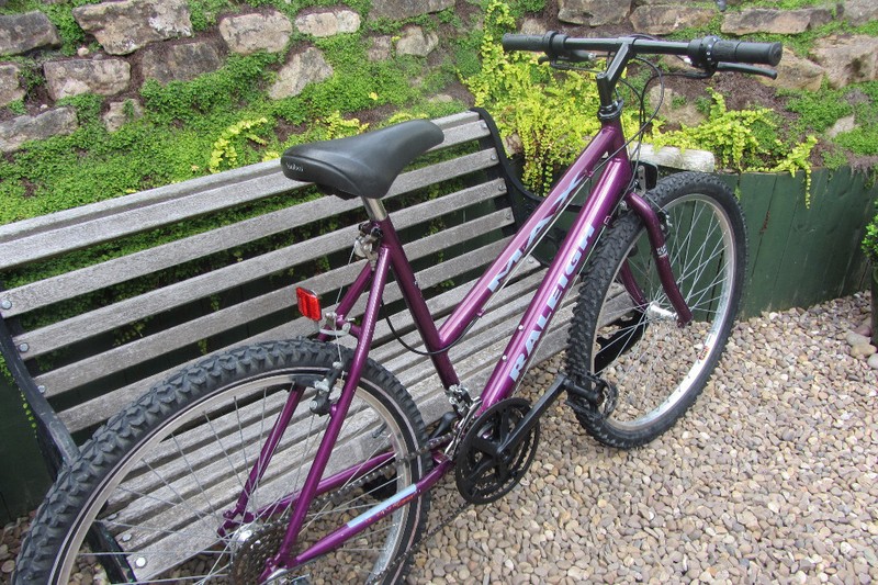 Raleigh Max for sale in UK | 77 second-hand Raleigh Maxs