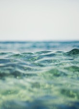 bravo_compass on eBay