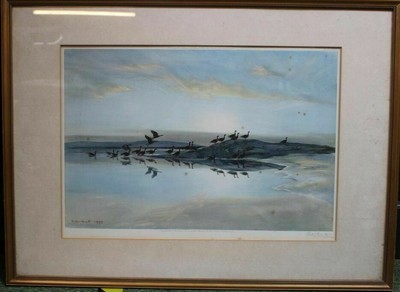 Signed Peter Scott Prints for sale in UK | View 41 ads