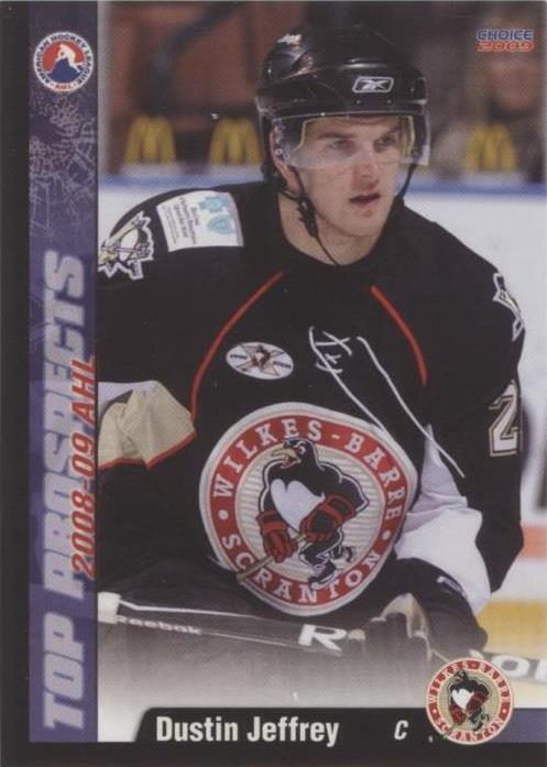2008-09 Choice AHL Top Prospects - Dustin Jeffrey #47 (RC) for sale ...