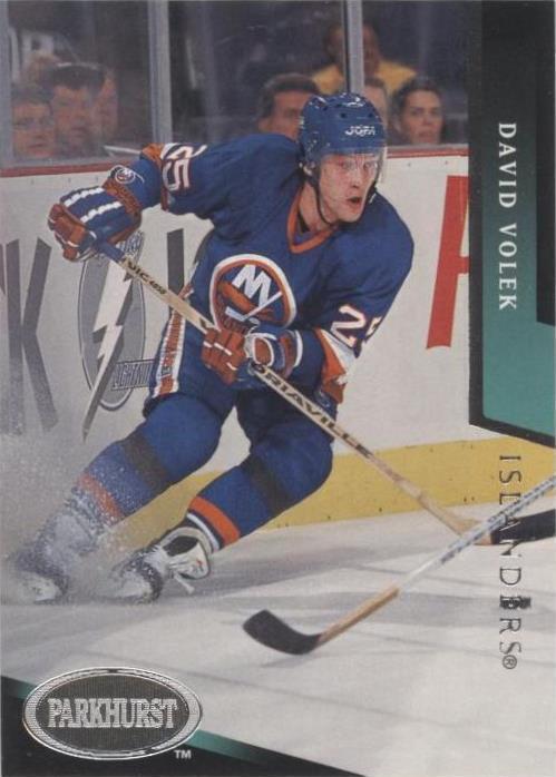1993-94 Parkhurst - David Volek #395 for sale | eBay