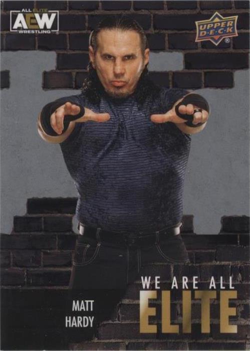 2023 Upper Deck AEW All Elite Wrestling - We Are All Elite Matt Hardy #AE-6 Silver for sale ...