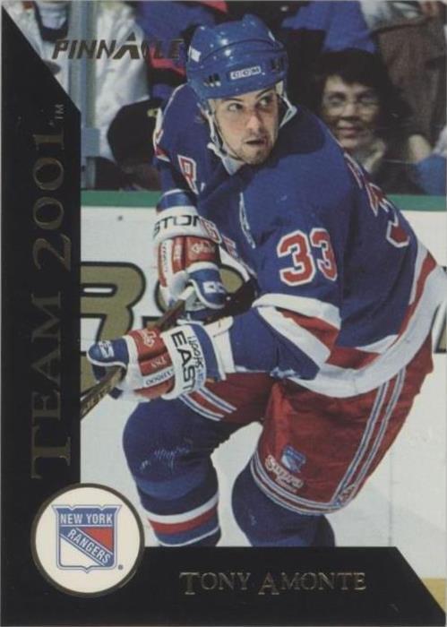 1993-94 Pinnacle - Team 2001 Tony Amonte #19 for sale online | eBay