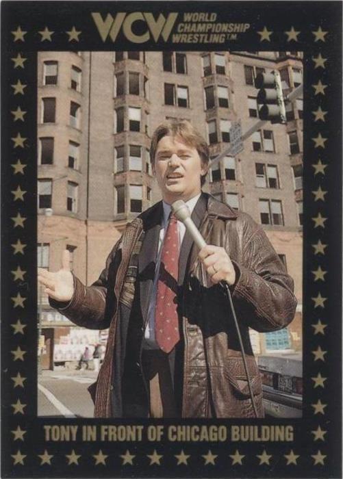 1991 Championship Marketing WCW - Tony Schiavone #101 (RC) for sale ...