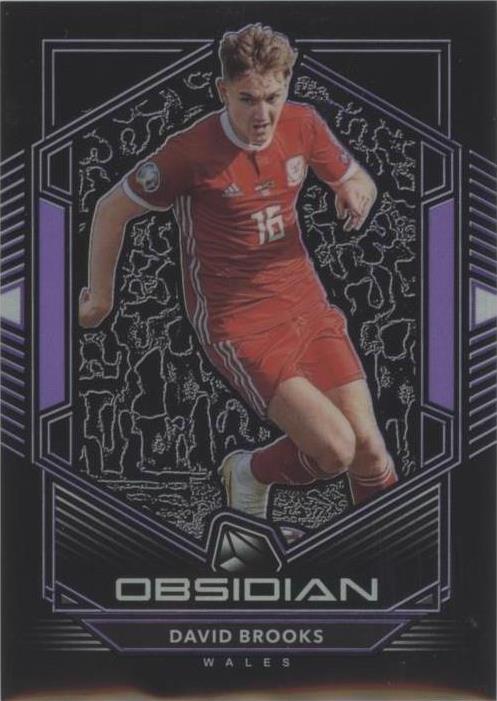2019-20 Panini Obsidian - Electric Etch Purple #37 David Brooks /65 for ...