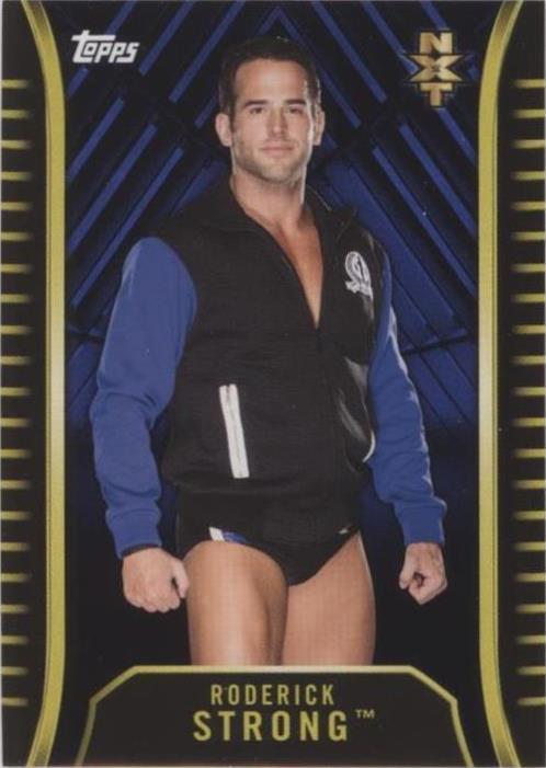 2018 Topps WWE NXT - Blue #R-28 Roderick Strong /50 for sale online | eBay