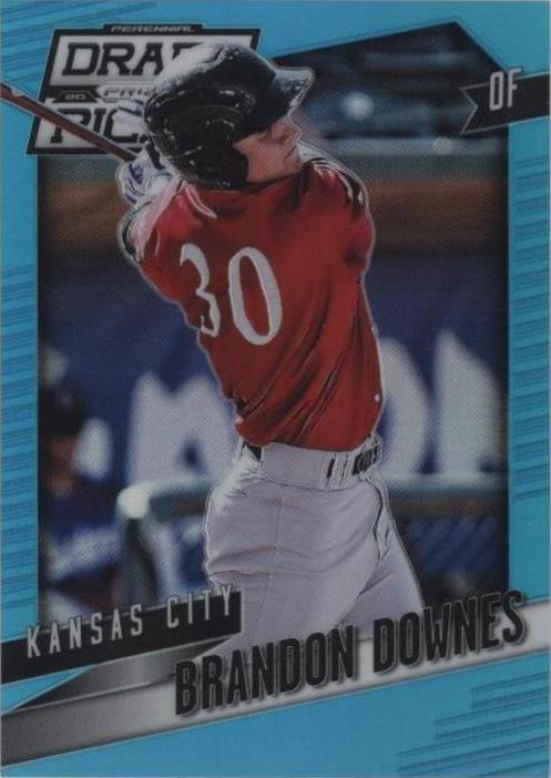 2014 Panini Prizm Perennial Draft Picks - Brandon Downes #66 Powder ...