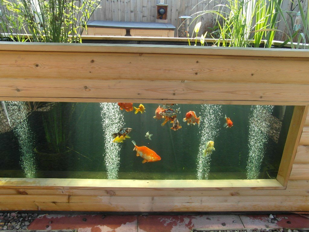 CLADDED Fibreglass Garden Pond viewing window 8ft x 4ft, Hozelock 9000 ...