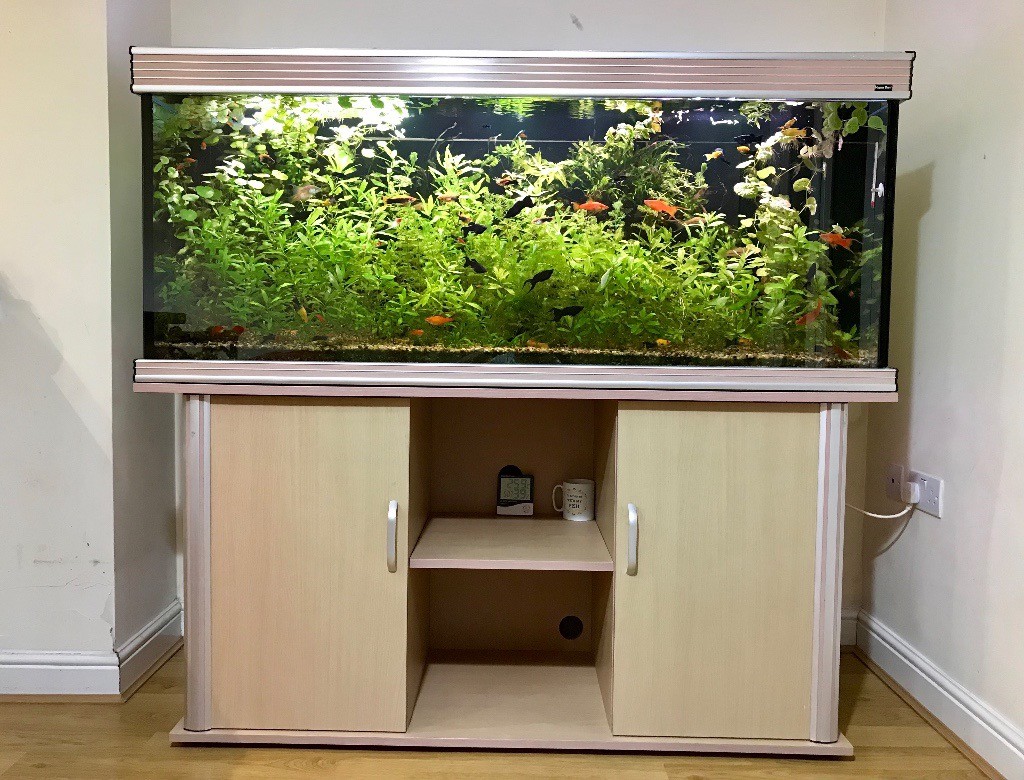 5ft Fish Tank 400L Tropical Freshwater Planted Aquarium and Cabinet ...