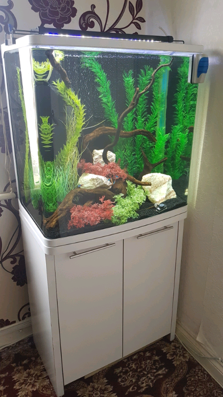 Aqua one 620t ADA open top style aquarium Fish Tank | in Oldham ...
