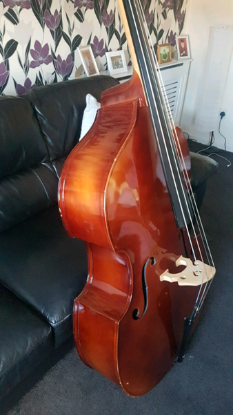 3 4 Double Bass for sale in UK | 71 used 3 4 Double Bass