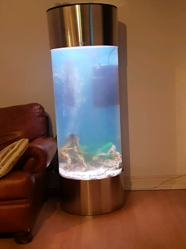 Large column fish tank for sale,full set up | in Salford, Manchester ...