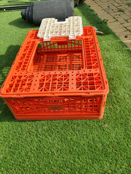 Poultry Crate for sale in UK | 45 used Poultry Crates