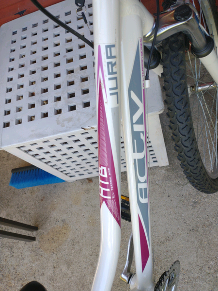 Raleigh Activator for sale in UK | View 39 bargains