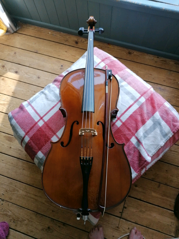 Stentor Student II Cello 1 2 Size In Darlington County Durham Gumtree