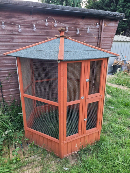 Outdoor Aviary for sale in UK | 60 used Outdoor Aviarys