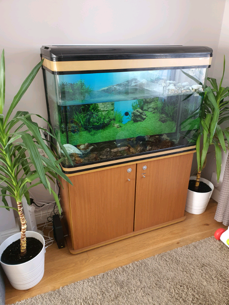 250 Litre Fish Tank for sale in UK | View 36 bargains
