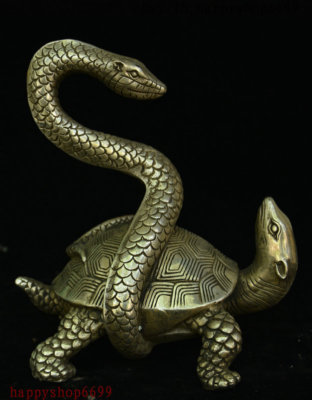 Other - Tortoise Snake
