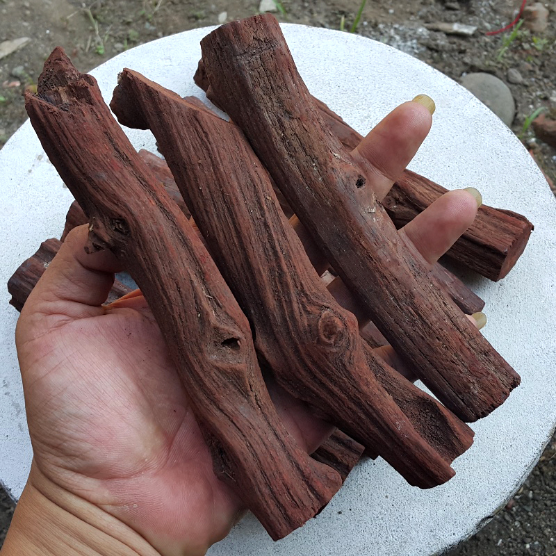 Akar Laka Indonesian Dalbergia Parviflora Kayu Menang | eBay