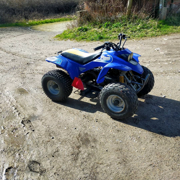 Ram 100 Quad for sale in UK | 61 used Ram 100 Quads