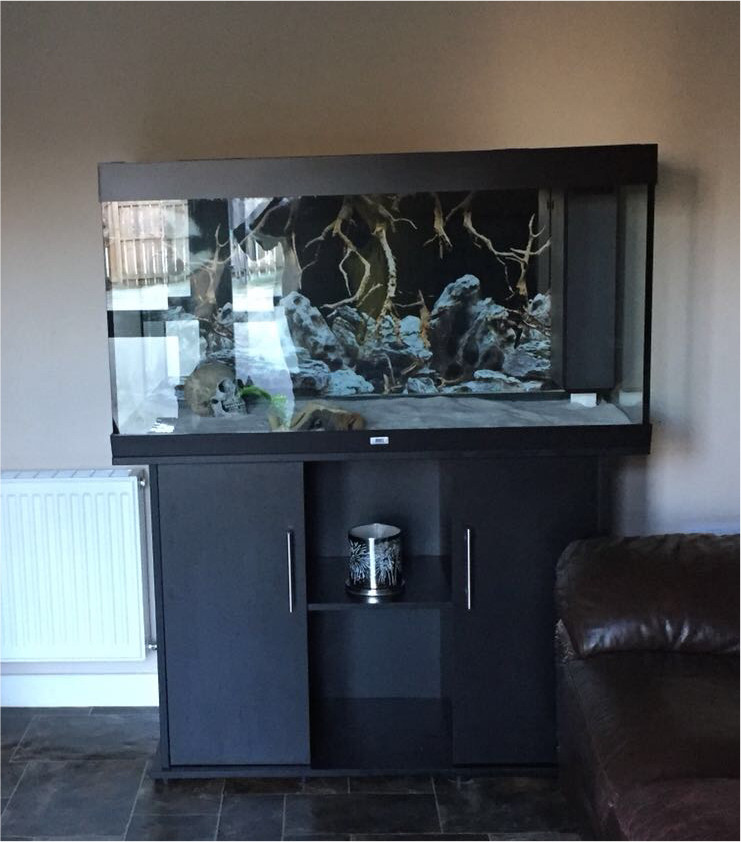 Juwel 300 Aquarium (350L) | in Bridge of Don, Aberdeen | Gumtree