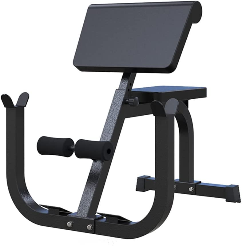 Preacher Curl Bench | Commax Adjustable Roman Chair
