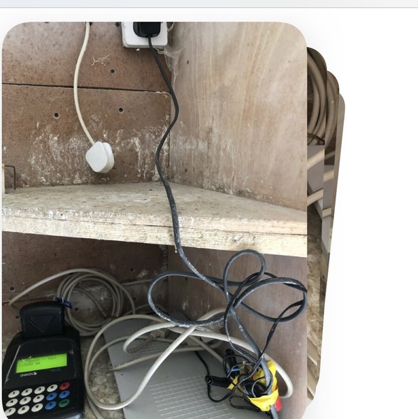 Pigeon Ets for sale in UK | 60 used Pigeon Ets