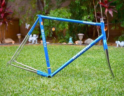 Bicycle Frames - Bianchi Frame - Nelo's Cycles