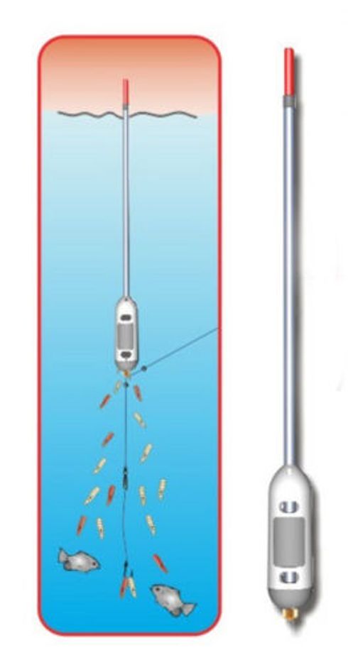 Stonfo Maggot Carp Feeder Floats Available in 2 Sizes | eBay