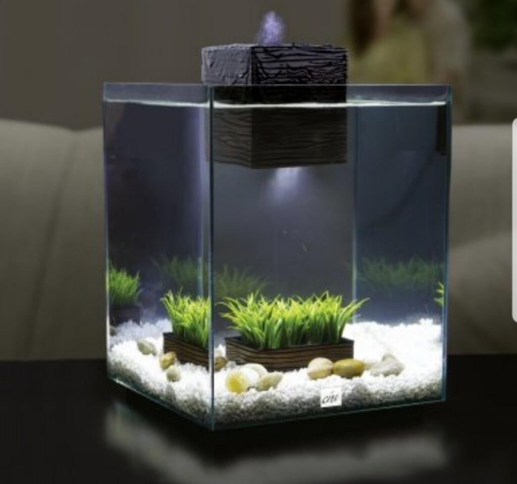 Fluval chi fish tank | in Fulham, London | Gumtree