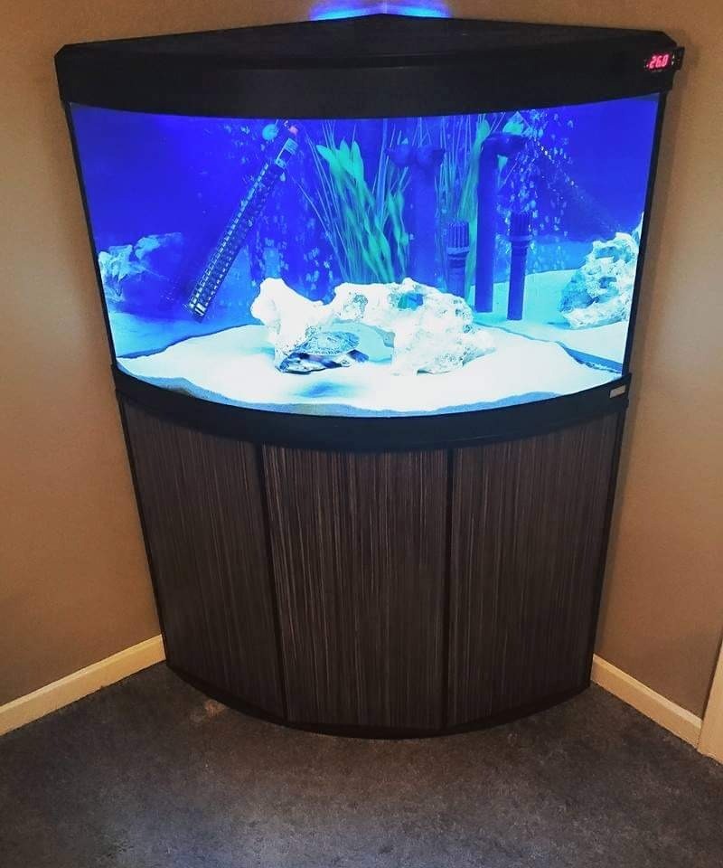 Fluval 190 corner fish tank | in Cramlington, Northumberland | Gumtree