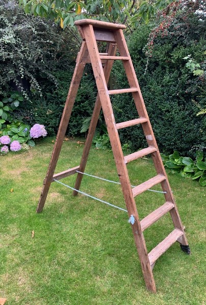 Wooden Ladders for sale in UK | 81 used Wooden Ladders