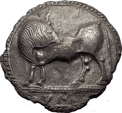SYBARIS in LUCANIA 550BC Silver Nomos Stater Ancient Greek Coin BULL ...