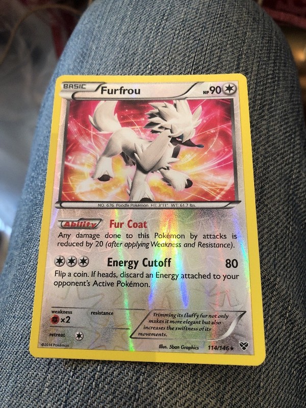 Furfrou Pokemon Cards - Find Pokemon Card Pictures With Our Database ...