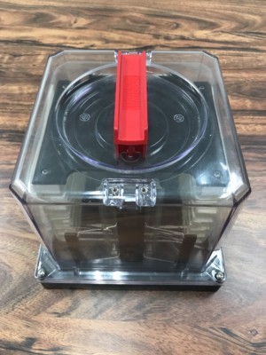 Wafer Processing - 6 Inch