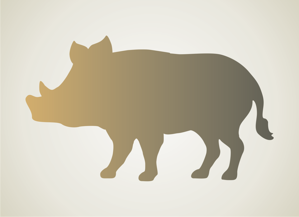 Stencils by Joanie Warthog Wild Boar Pig Animal Shape + Free Template ...