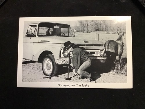 Duckboy Humor Comic Postcard Pumping Iron In Idaho, Flat Tire, Truck ...