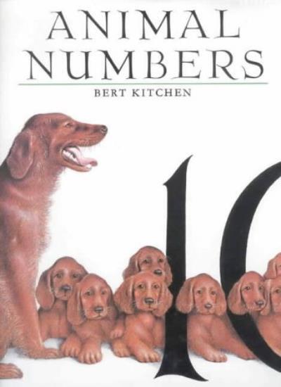 Animal Numbers By Bert Kitchen. 9780718826819 9780718826819| eBay