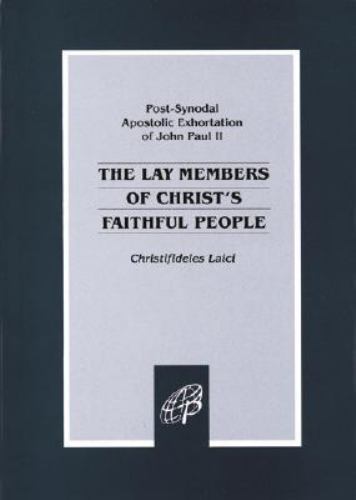 Lay Members Christs Faithful by John Paul II 9780819844590| eBay