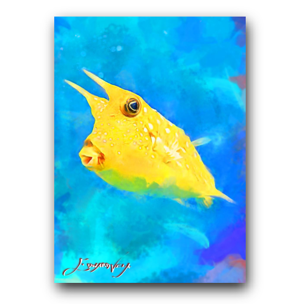 Longhorn Cowfish Art Card Limited 1/50 Edward Vela Signed (Animals ...