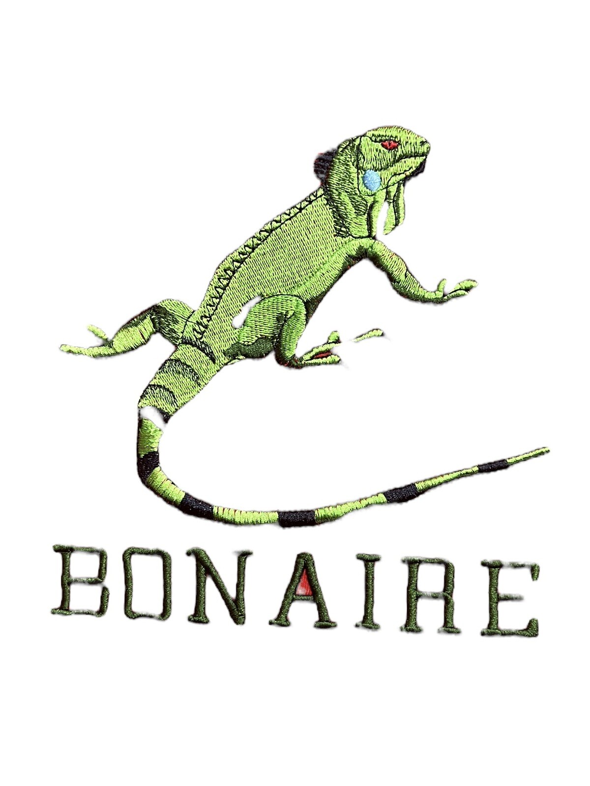Bonaire Embroidered Iguana Logo Tshirt Lizard Adult S… - Gem